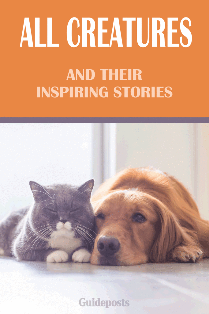 All Creatures - And Their Inspiring Stories - Guideposts